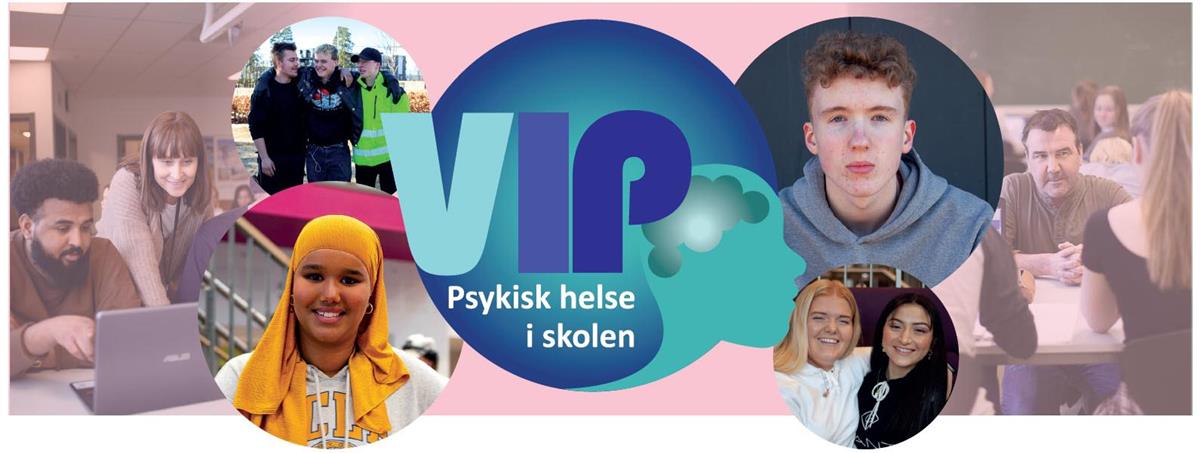 VIP-skole - Gand videregående skole